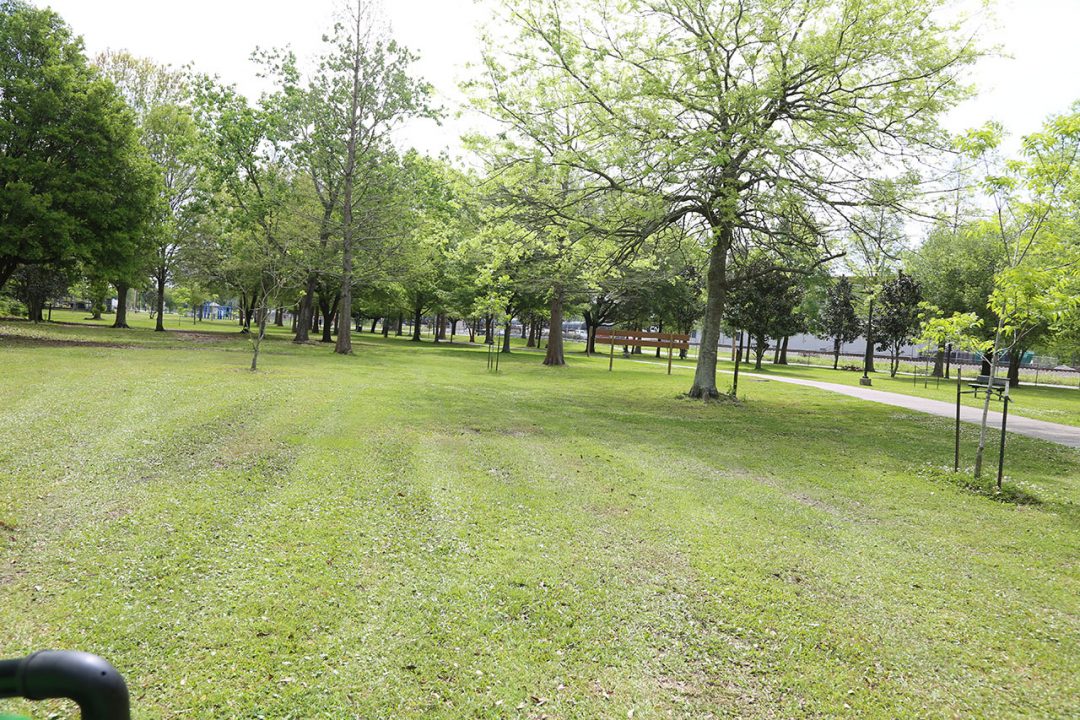 Miley Softball Complex — Jefferson Parish Parks & Recreation