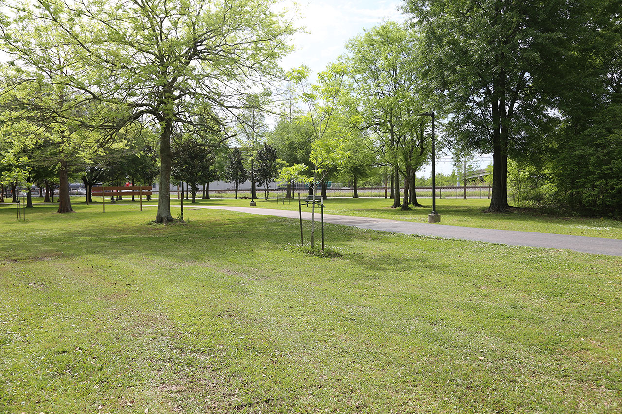 Miley Softball Complex — Jefferson Parish Parks & Recreation
